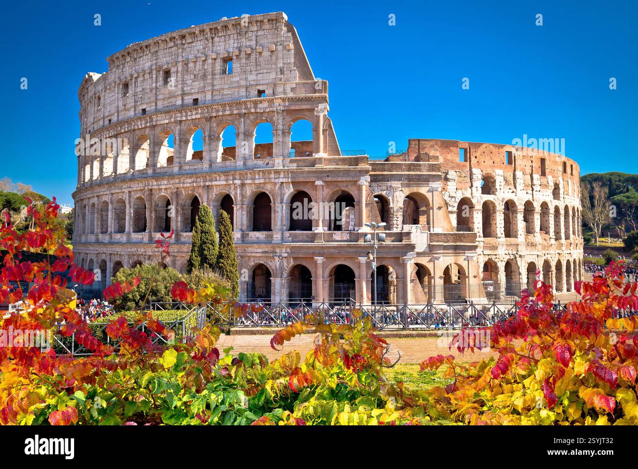 Colosseum of Rome scenic view through natural frame, famous landmark of ...