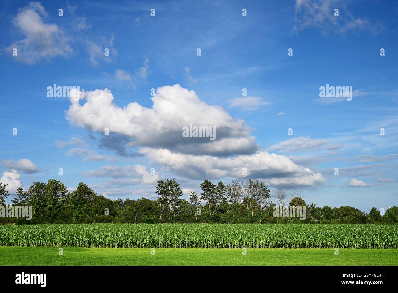 Cumuliform hi-res stock photography and images - Alamy