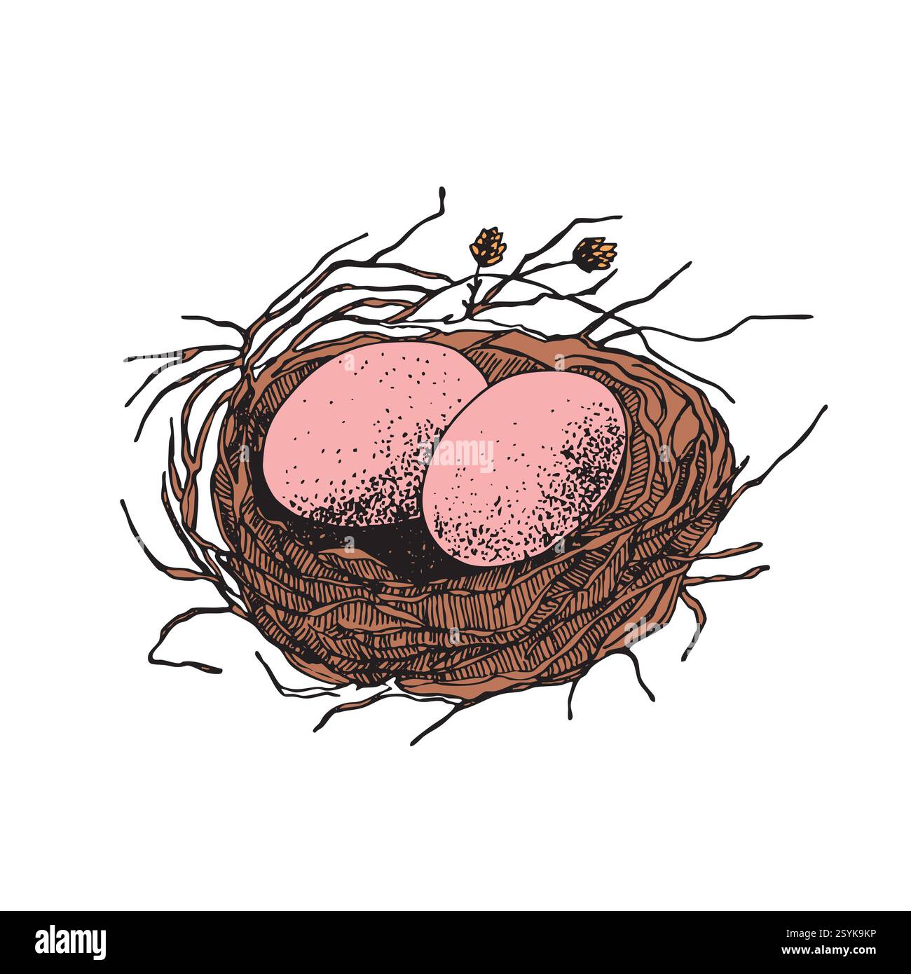 Bird nest with eggs. Easter hand drawn vector illustration, template ...