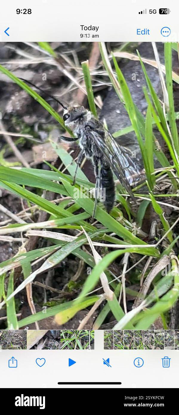 Monash university clayton hi-res stock photography and images - Alamy