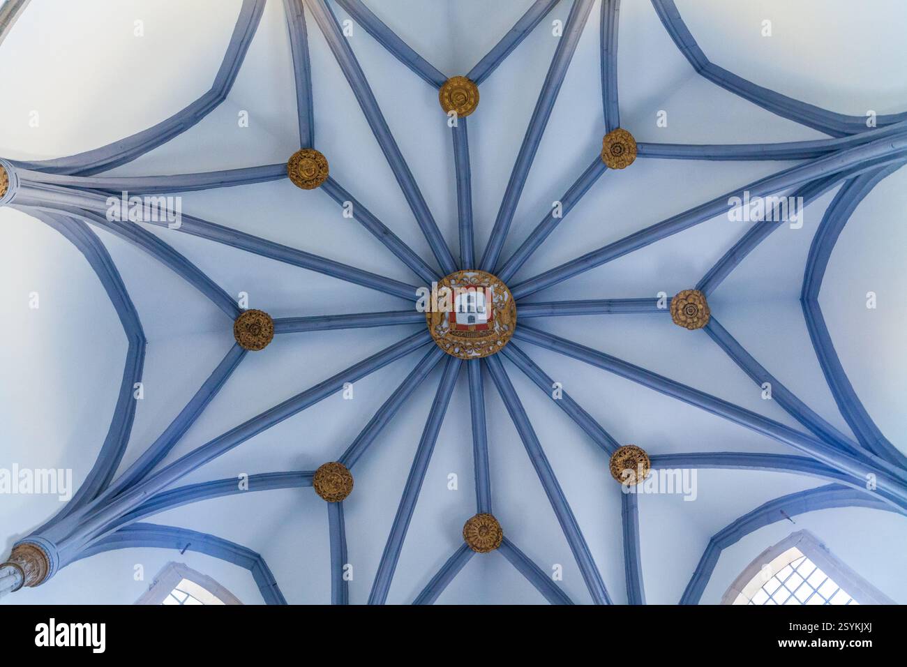 An intricate vaulted ceiling with a star-shaped pattern, featuring blue ...