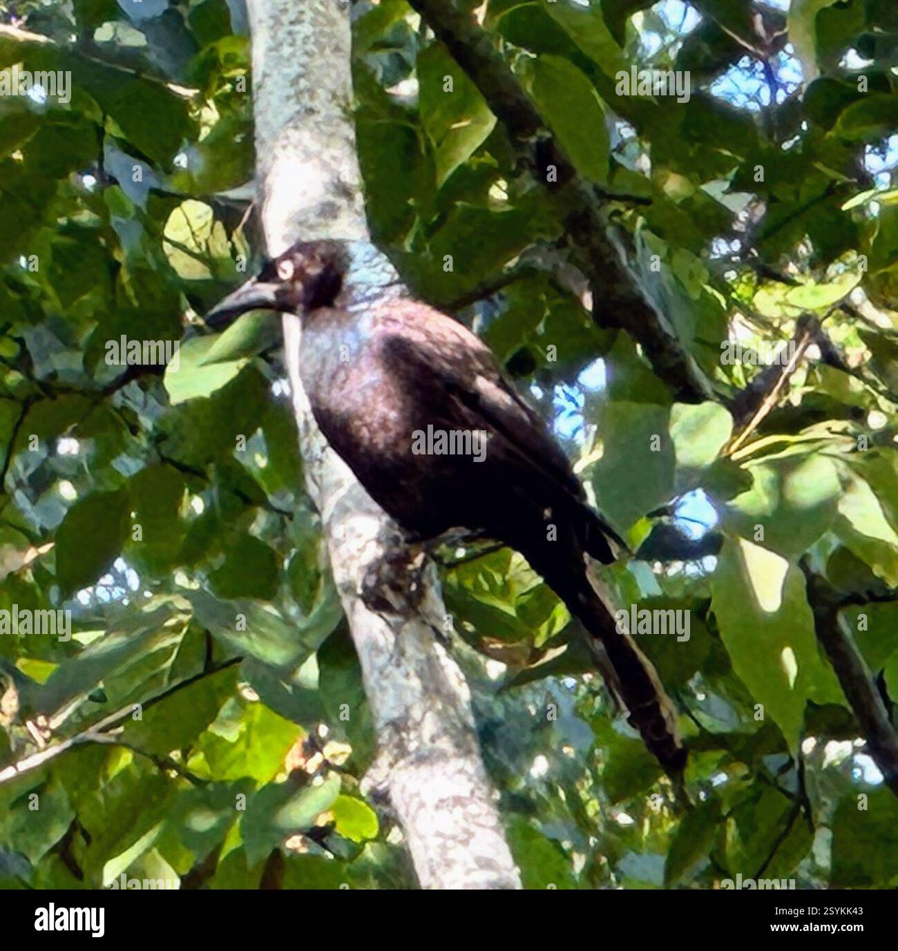 Woburn ma common hi-res stock photography and images - Alamy