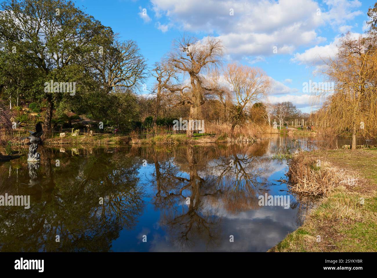 Lake near the Japanese Garden, Regent's Park, London UK, in late winter ...