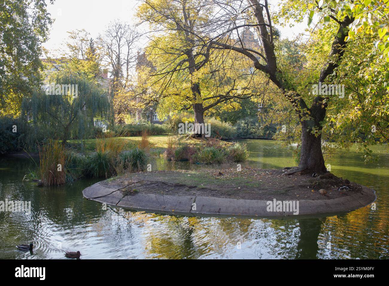 Trip poznan hi-res stock photography and images - Alamy