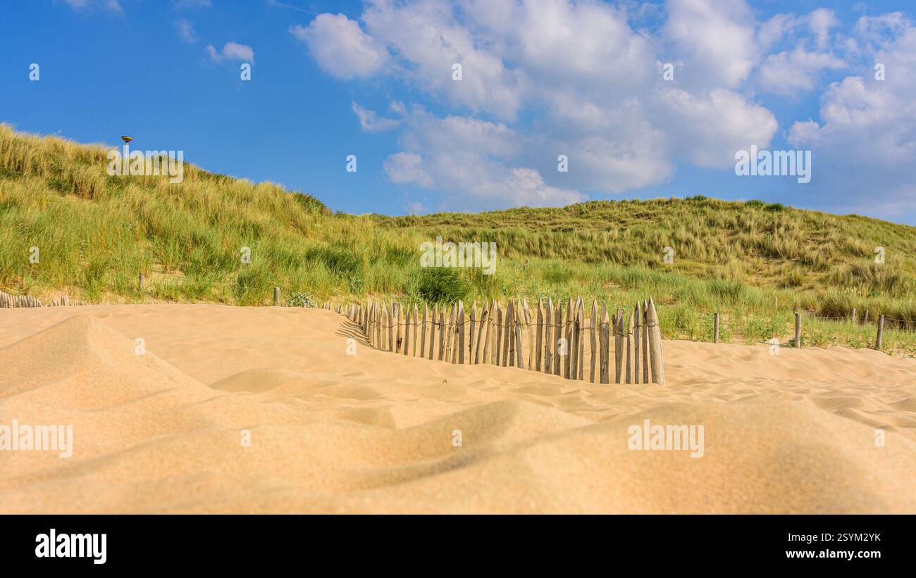 A sand dune with marram grass a the top and blue sky Stock Photo - Alamy