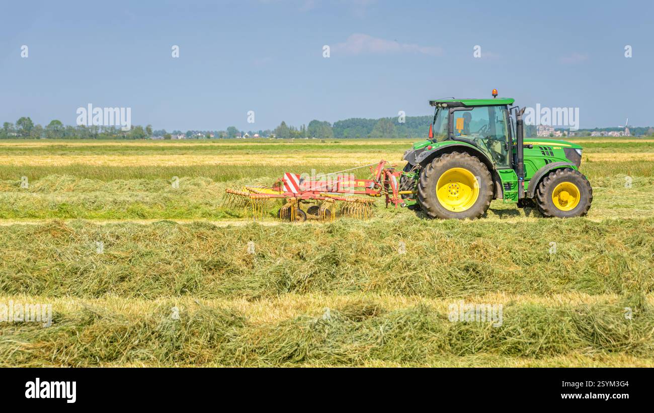 Farmer on tractor turning cut grass to dry. Agricultural work on ...