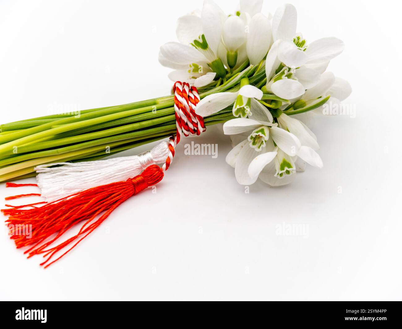 spring flowers snowdrop and handcraft wool bracelet martenitsa symbol ...