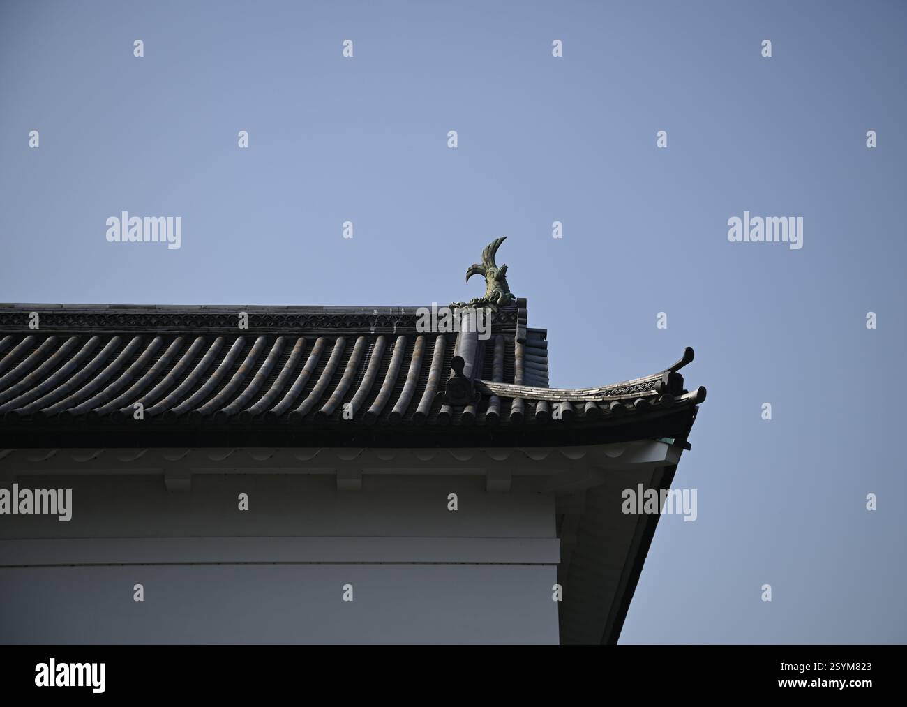 Scenic rooftop view of the Tokyo Imperial Palace Edo period Guard Tower ...