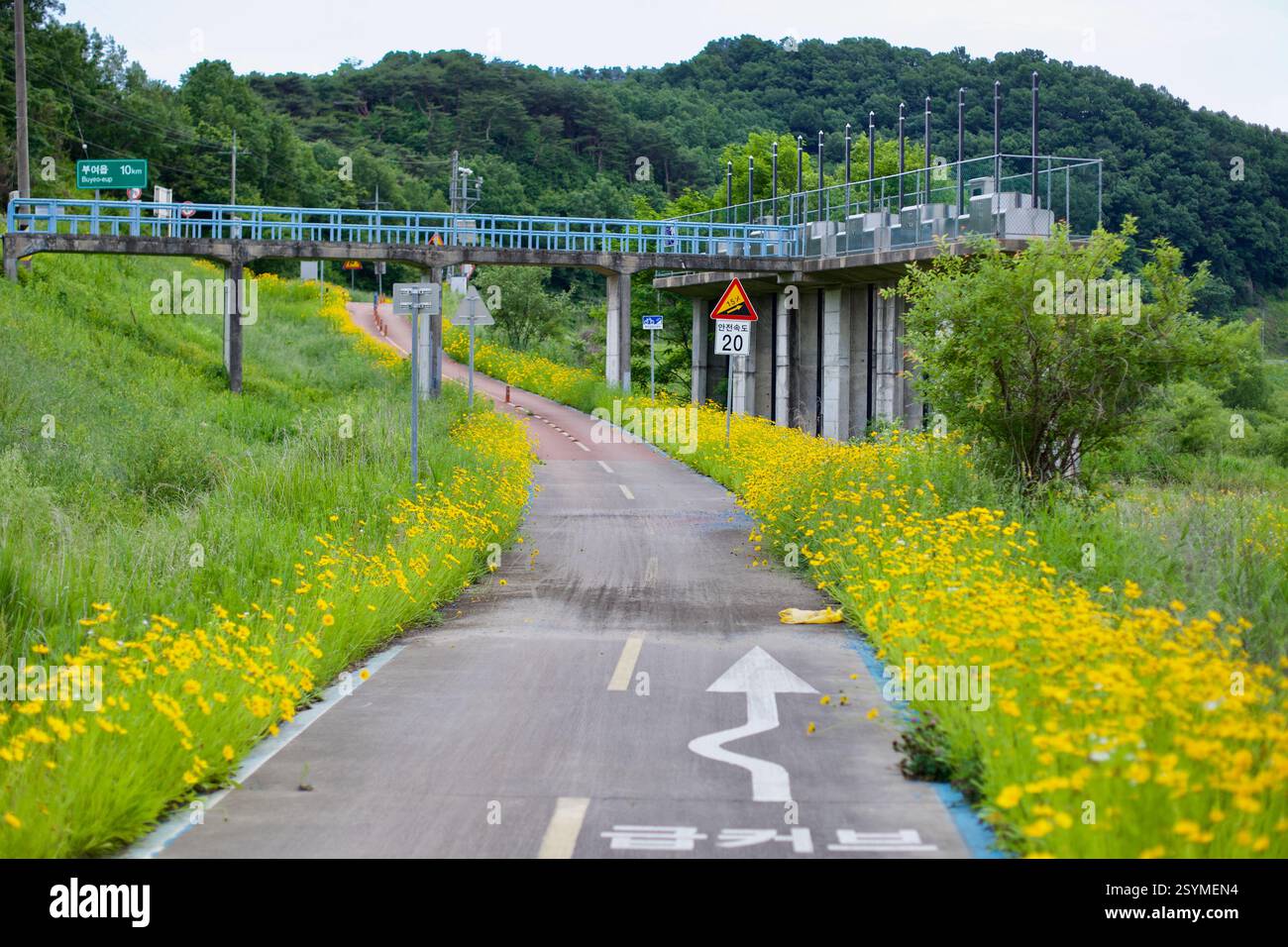 Gongju, South Korea - May 27th, 2021: A winding bike path surrounded by ...