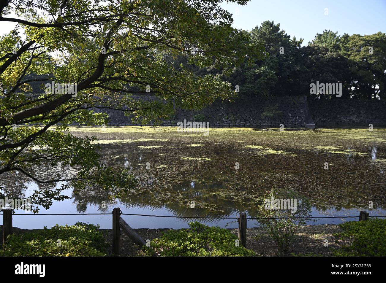 Landscape with scenic view of Kōkyogaien the Tokyo Imperial Palace ...
