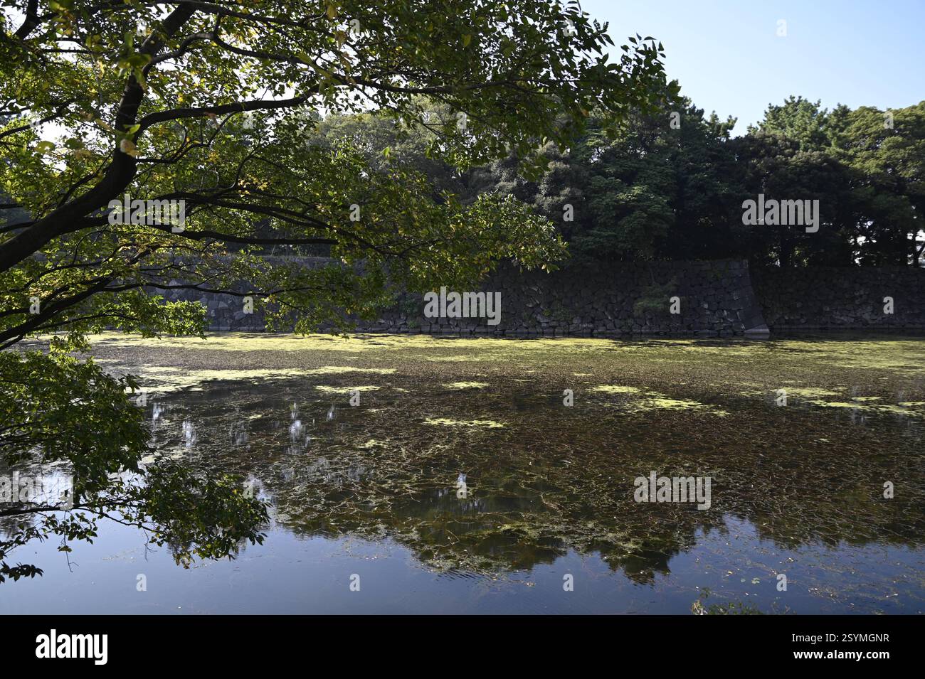 Landscape with scenic view of Kōkyogaien the Tokyo Imperial Palace ...