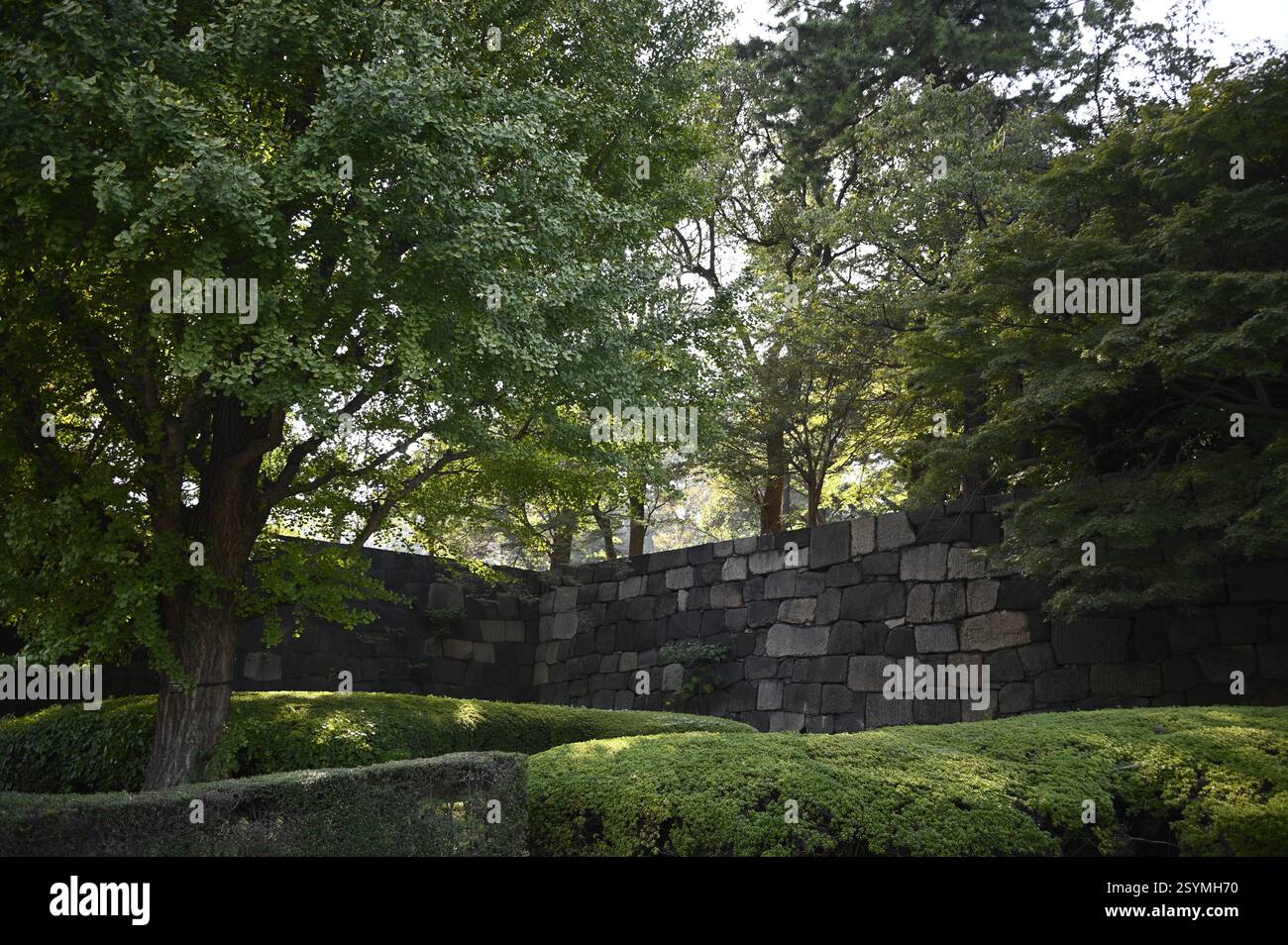Landscape with scenic view of Kōkyogaien the Tokyo Imperial Palace ...