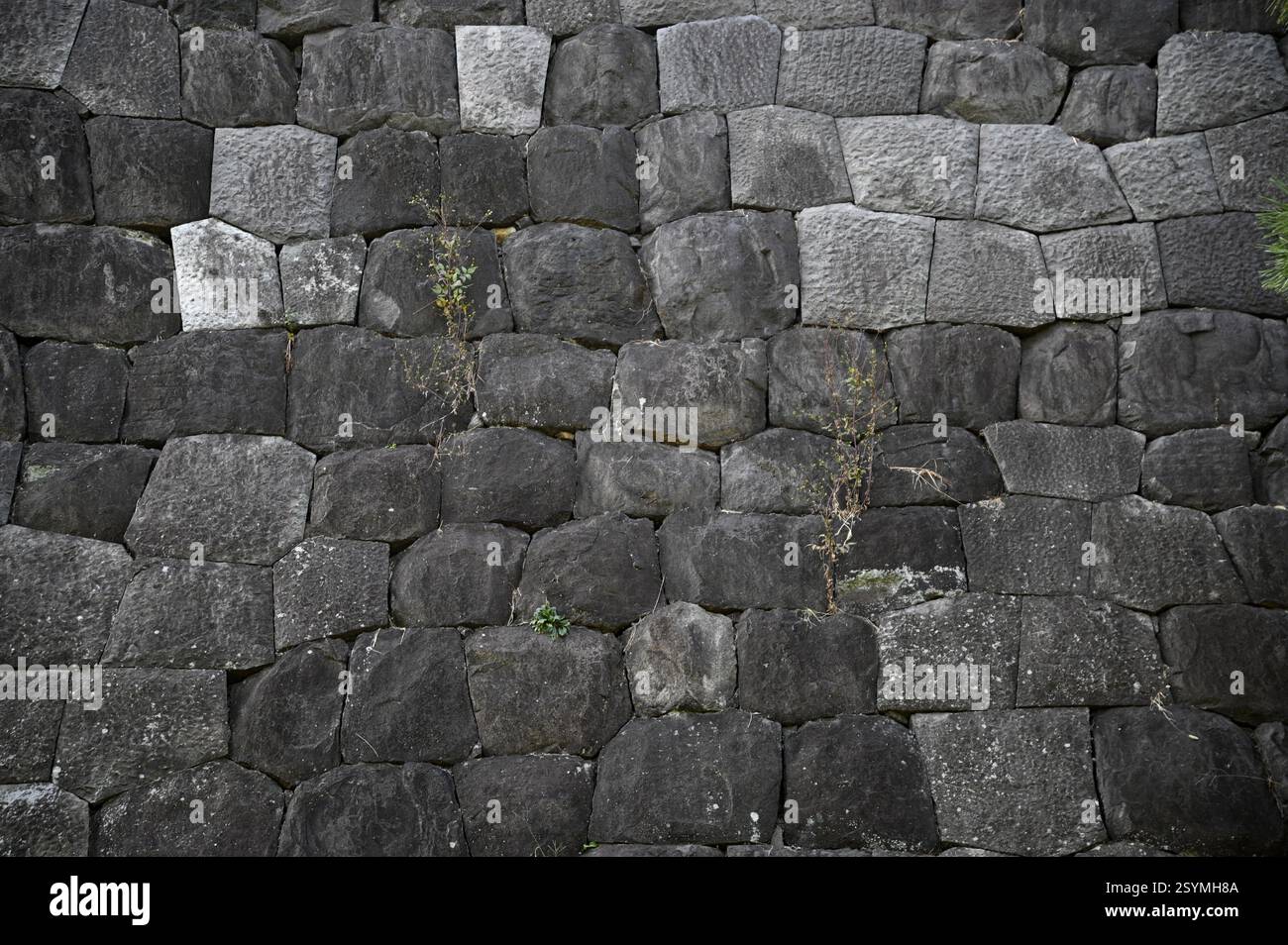 The imposing stone walls of the Imperial Palace in Tokyo stand as ...