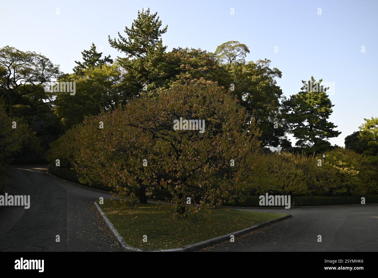 Landscape with scenic view of Kōkyogaien the Tokyo Imperial Palace ...