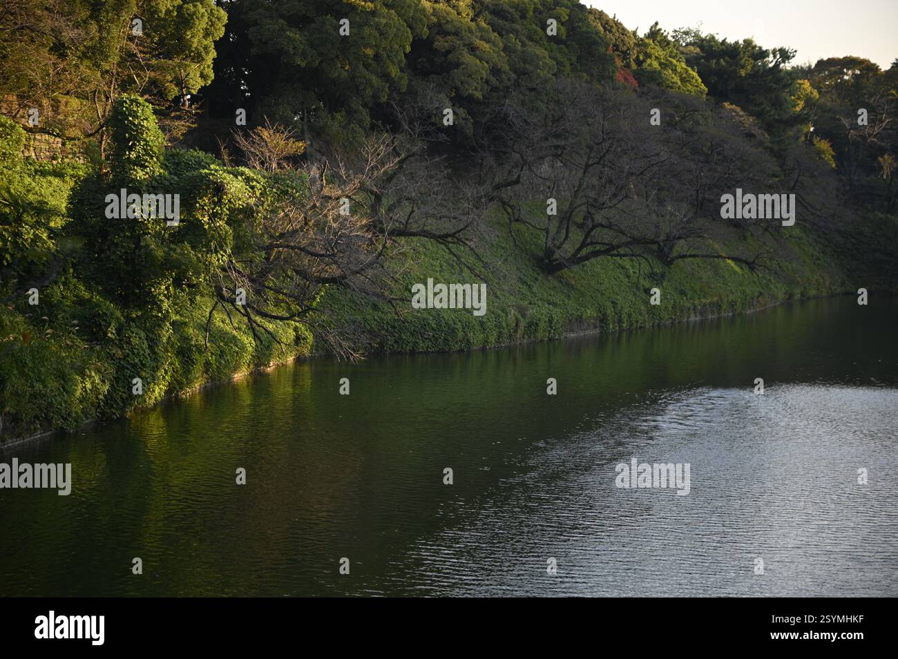 Landscape with scenic view of Kōkyogaien the Tokyo Imperial Palace ...