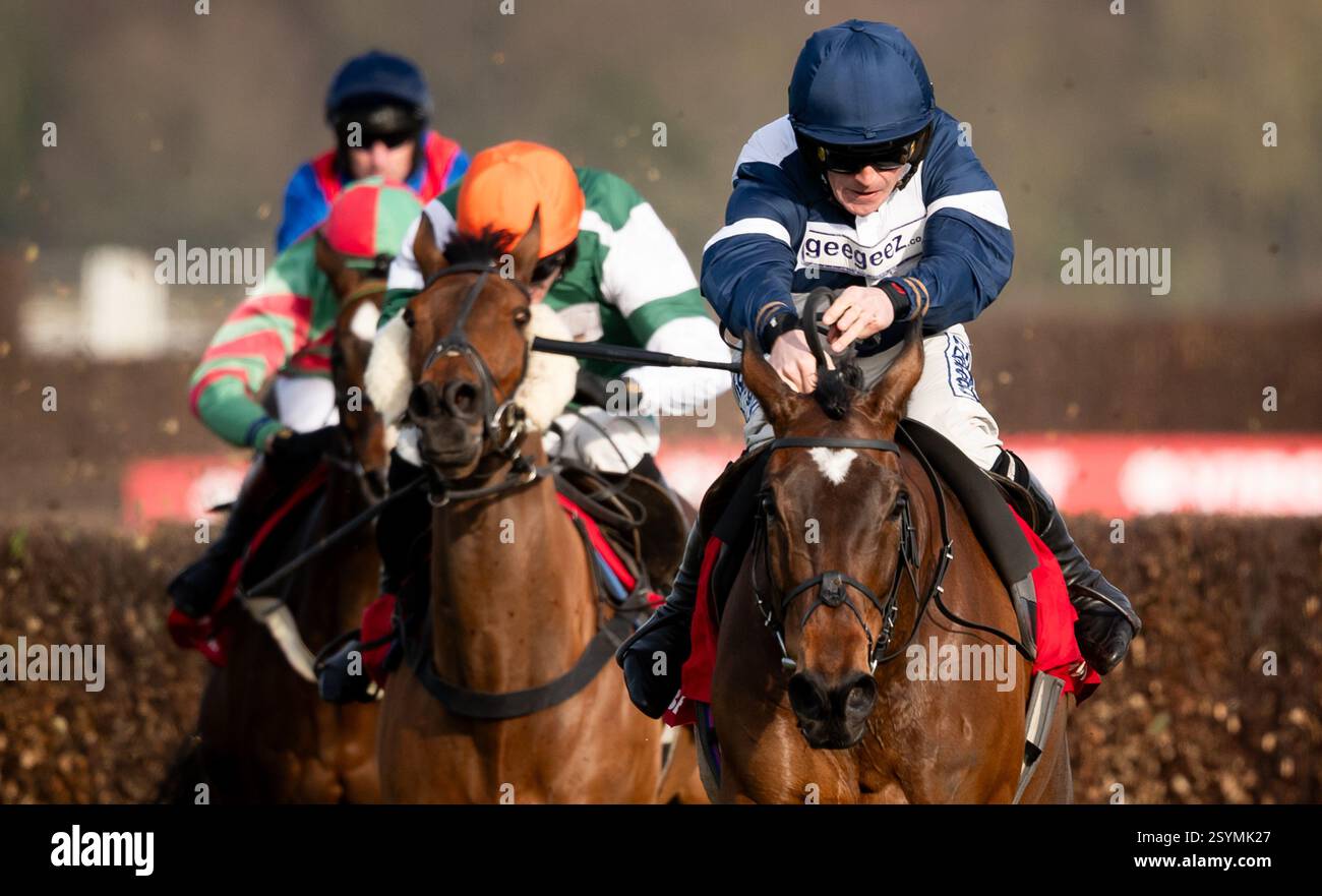 Brookie horse hi-res stock photography and images - Alamy