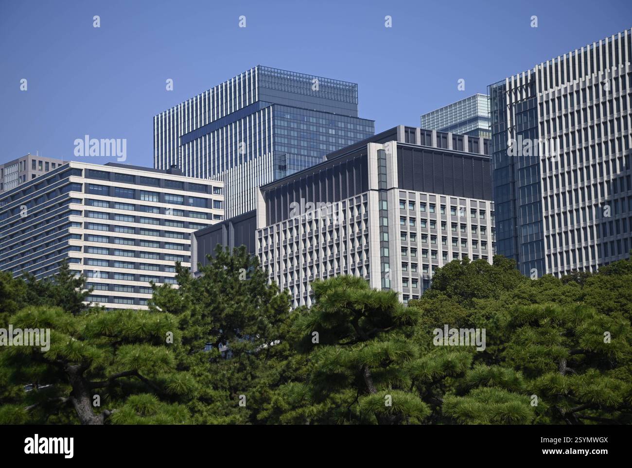 Modern skyscrapers at the Tōkyō Kokusai Fōramu (Tokyo International ...