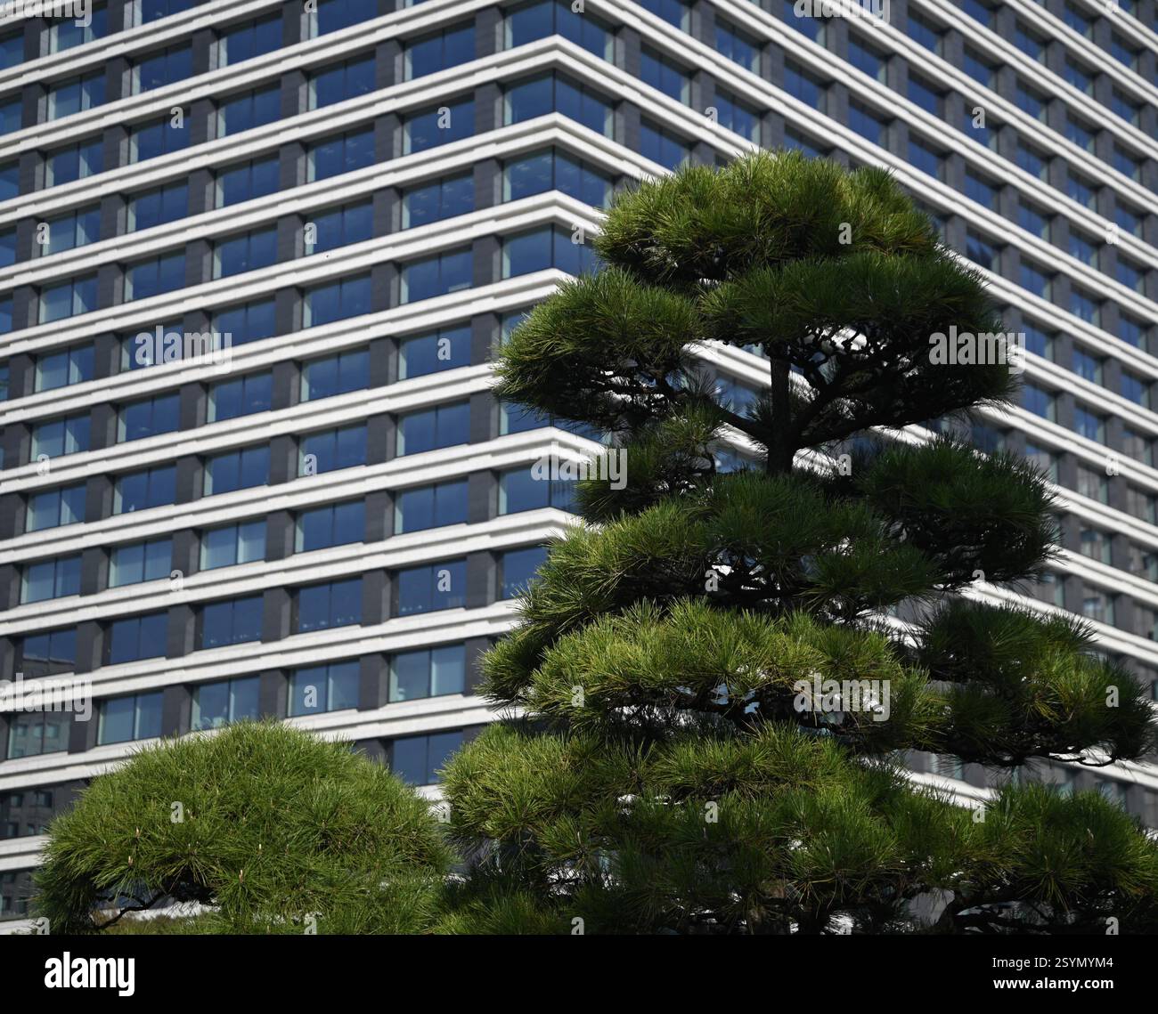 Scenic view of a modern solemn style skyscraper along the inner moat of ...