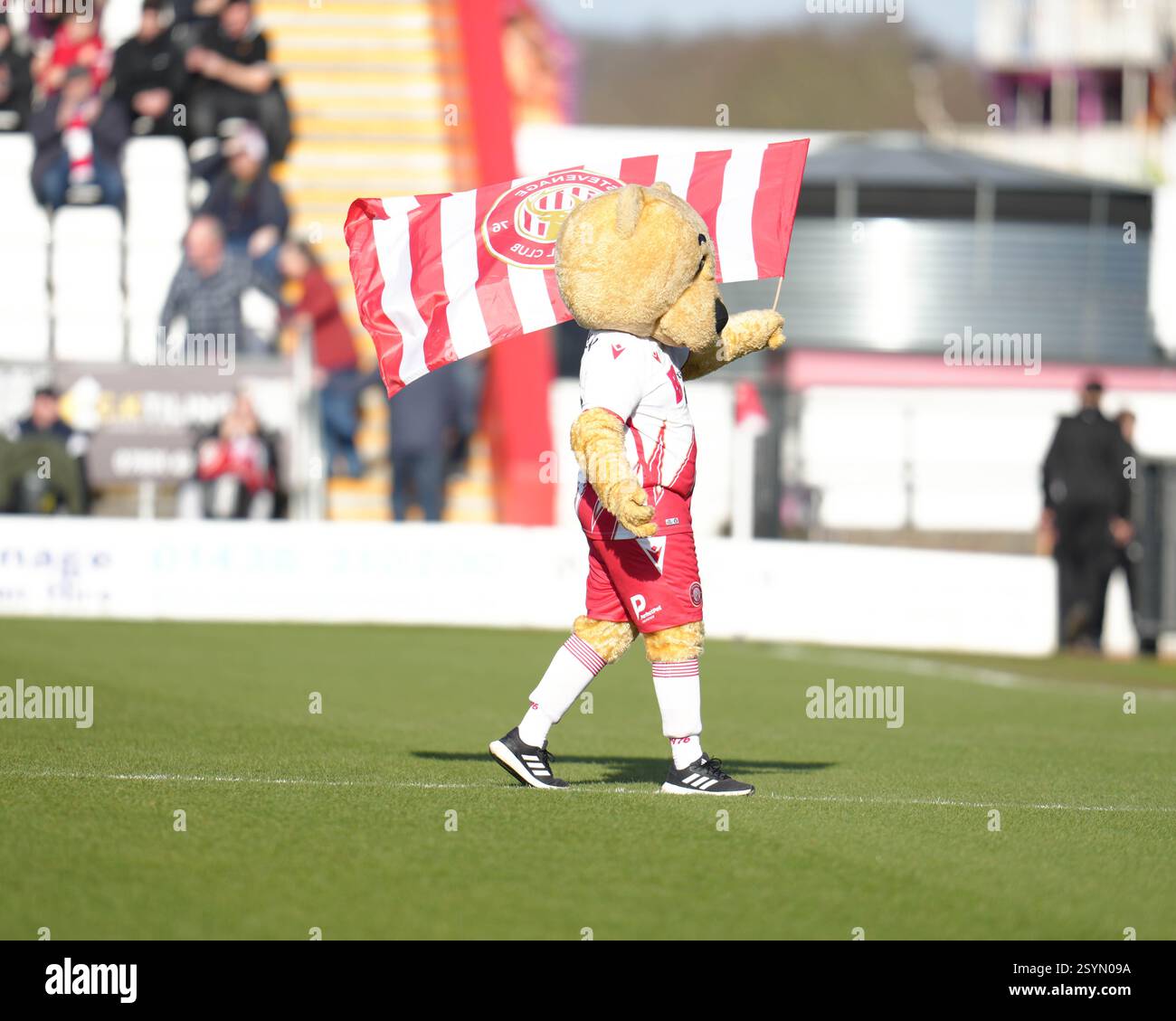 Stevenage mascot ahead of the Sky Bet League 1 match Stevenage vs ...