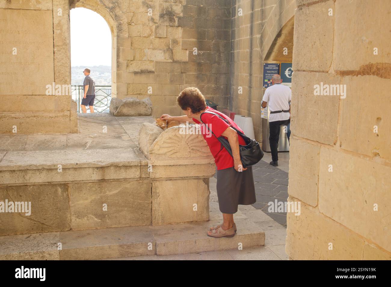 Senior woman petting stray ginger cat in public park in Valletta, Malta ...