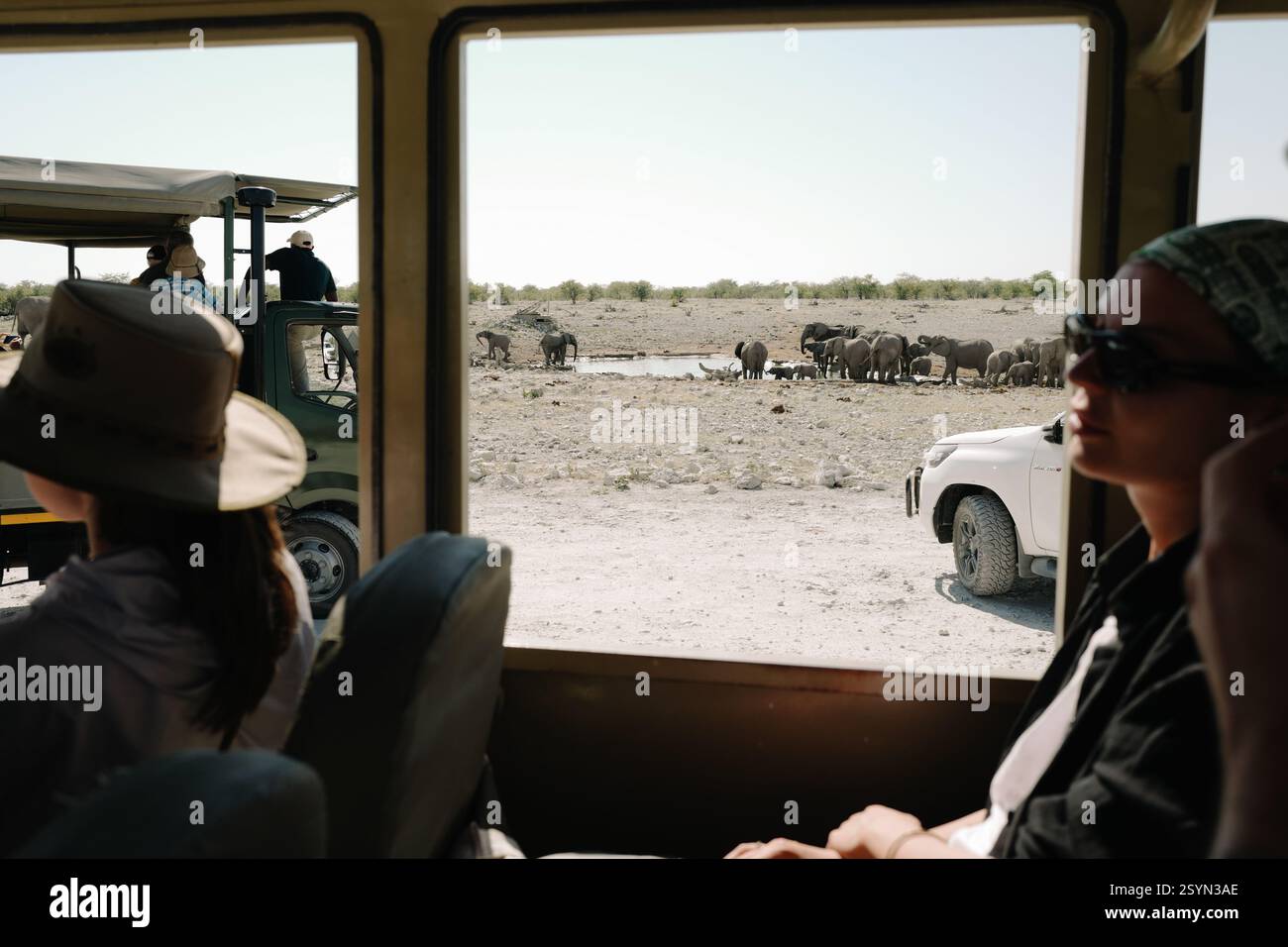 Etosha, Namibia. April 27, 2024: People sitting in the safari car near ...