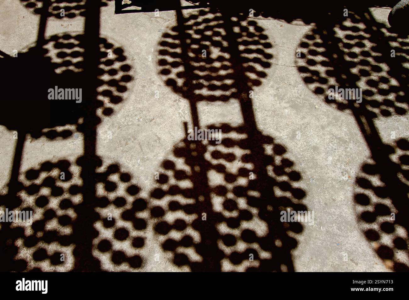 Clear shadows of persimmons drying on trays. The shadows form circular patterns with small dots ...