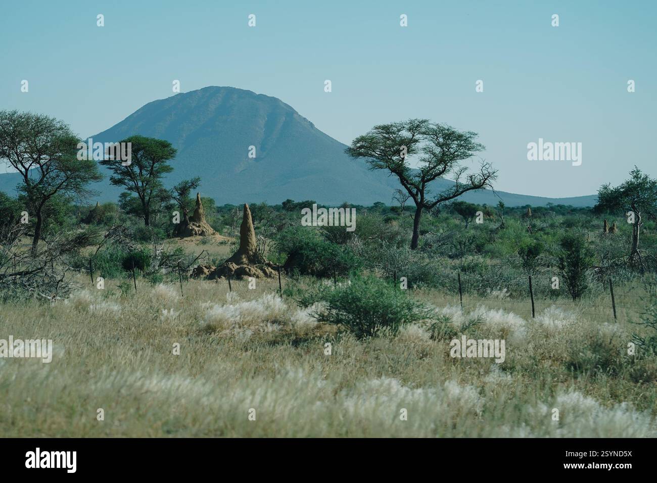 Termite mounds africa hi-res stock photography and images - Alamy