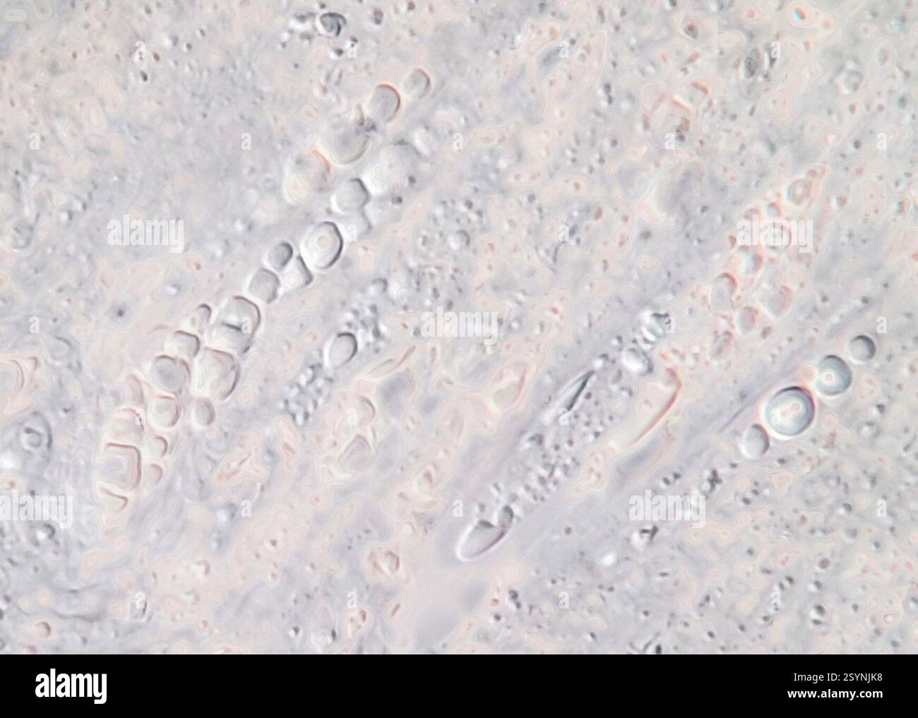 N 12 9 20 hi-res stock photography and images - Alamy