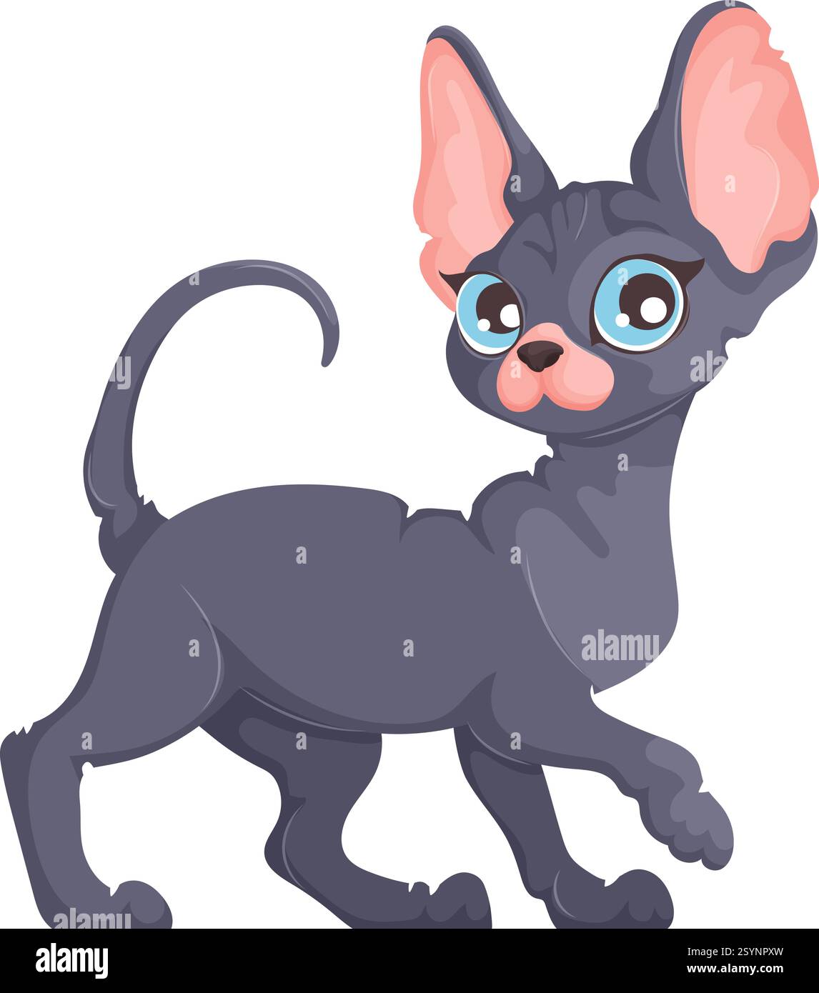 Vector artwork of a gray hairless Sphynx cat with blue eyes and large ...