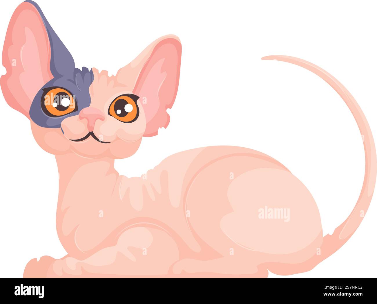 Vector illustration of a hairless Sphynx cat with orange eyes and a ...