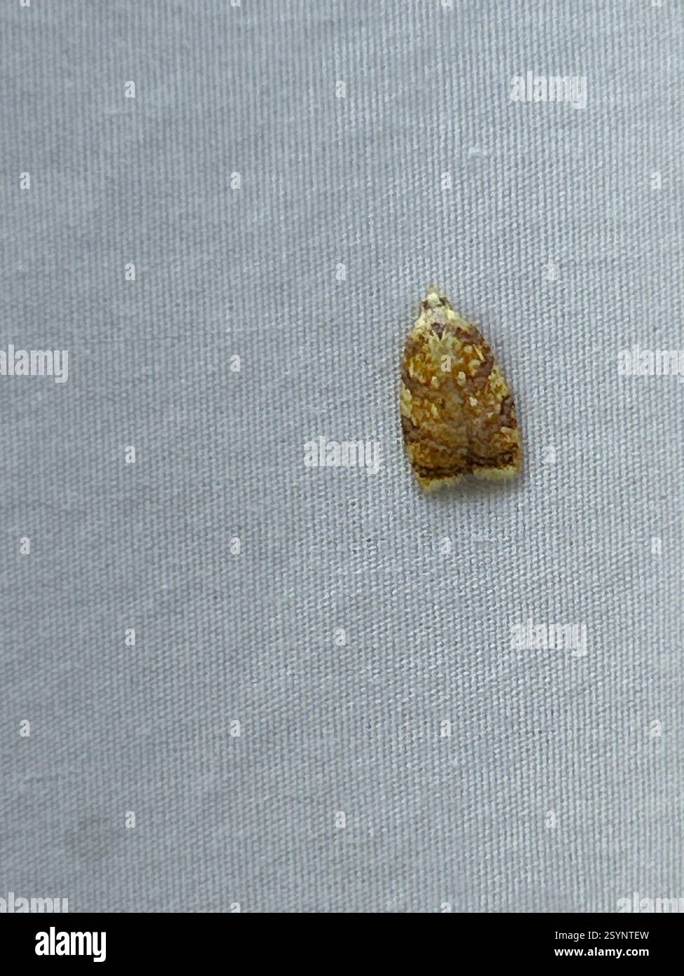 Neebing hi-res stock photography and images - Alamy