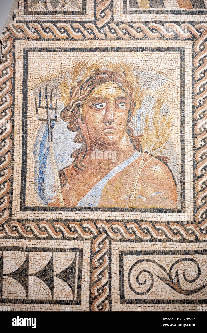 Roman mosaic panel depicting summer, displayed in the The Museo de la ...