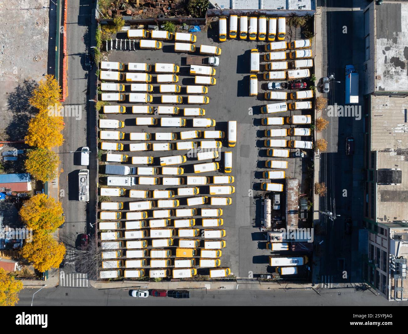 Yellow School Buses aerial top view in a parking lot, side by side ...