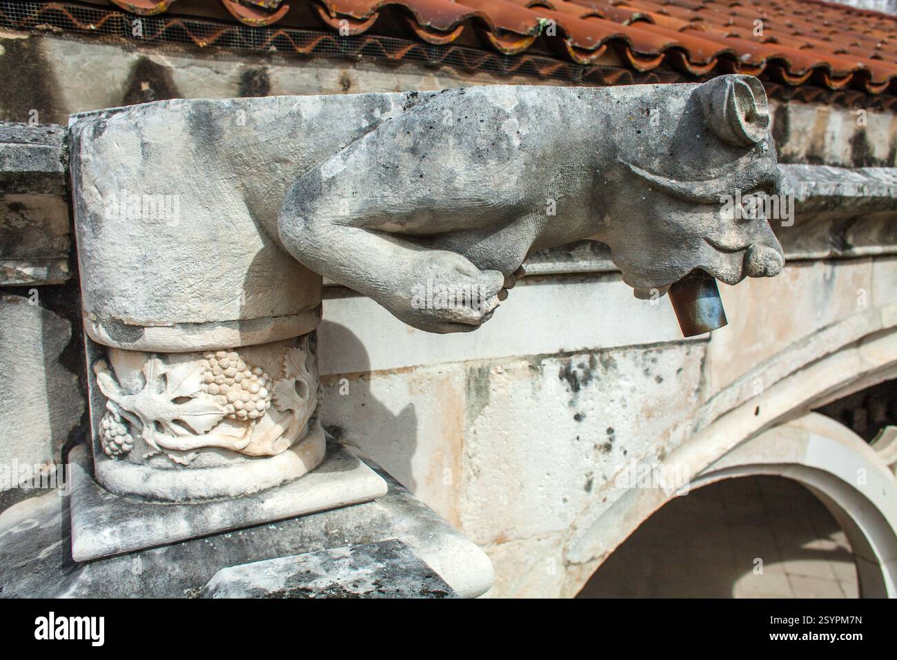 a grotesque gargoyle carved from stone, acting as a water spout on a ...