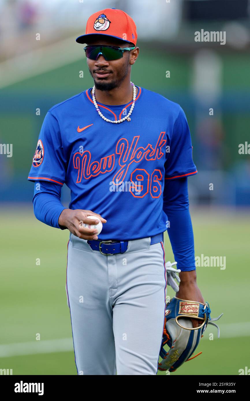 WEST PALM BEACH, FL - FEBRUARY 25: New York Mets outfielder Alex ...
