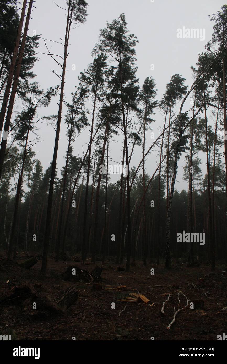 Cutting co2 hi-res stock photography and images - Alamy