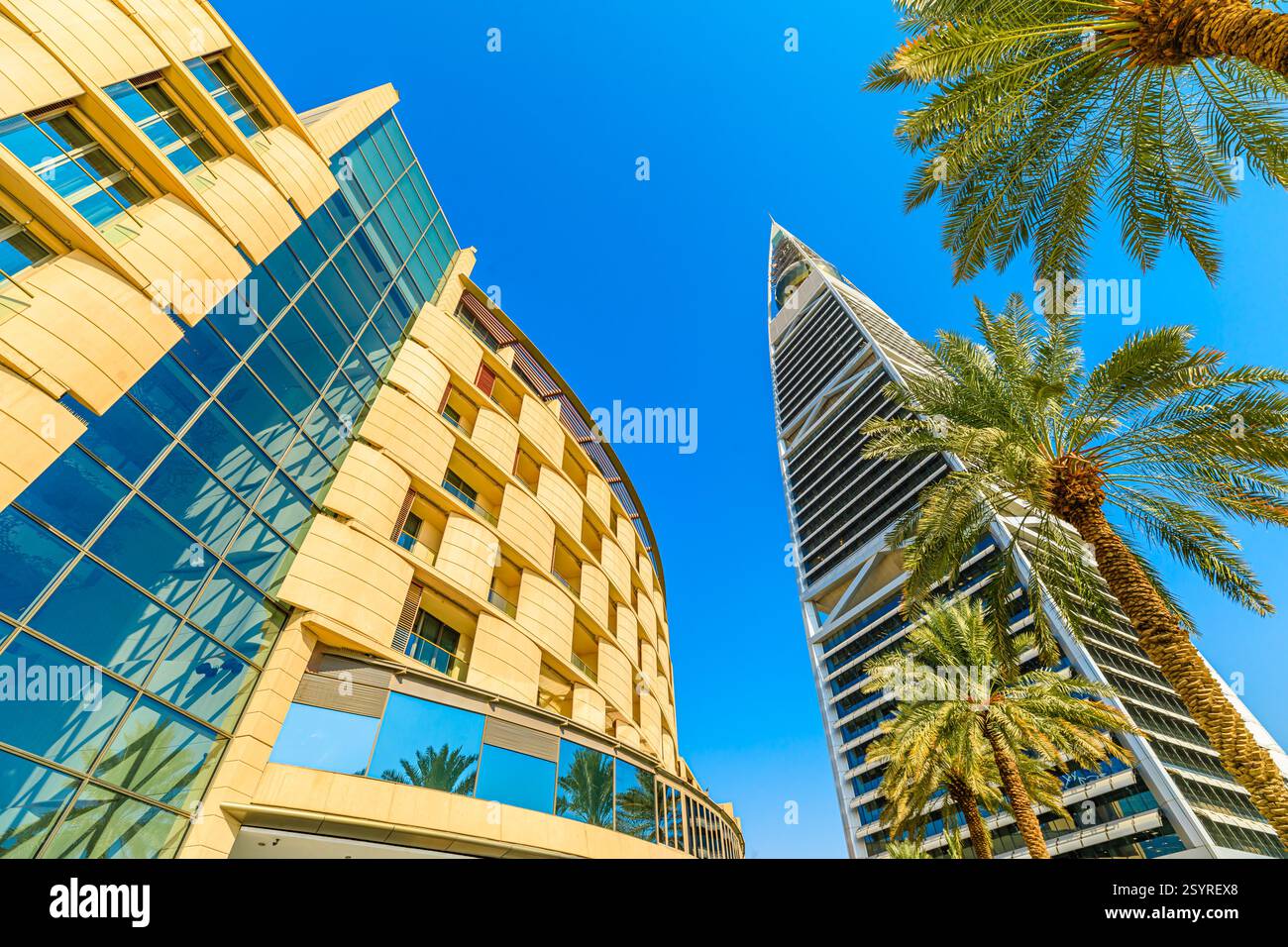 Riyadh , Saudi Arabia - Jannuary 8, 2025: Palm trees framing the modern architecture of Al ...