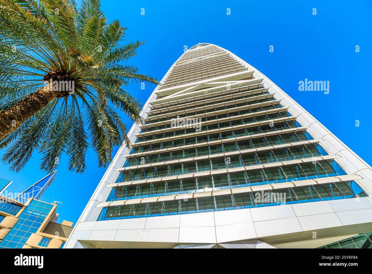 Riyadh , Saudi Arabia - Jannuary 8, 2025: Palm trees framing the modern ...