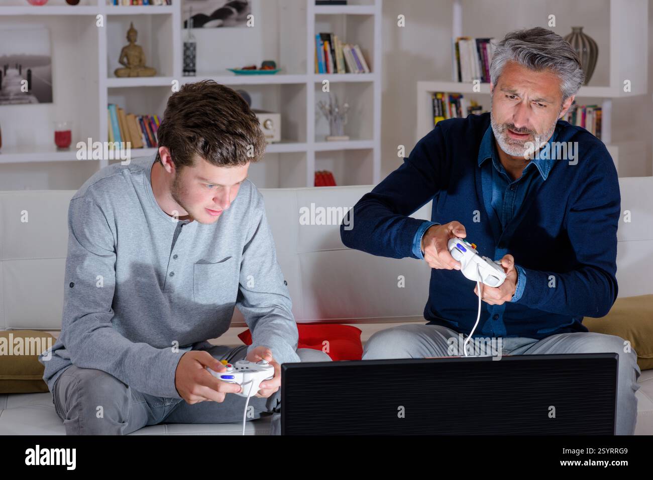Two men playing computer game Stock Photo - Alamy