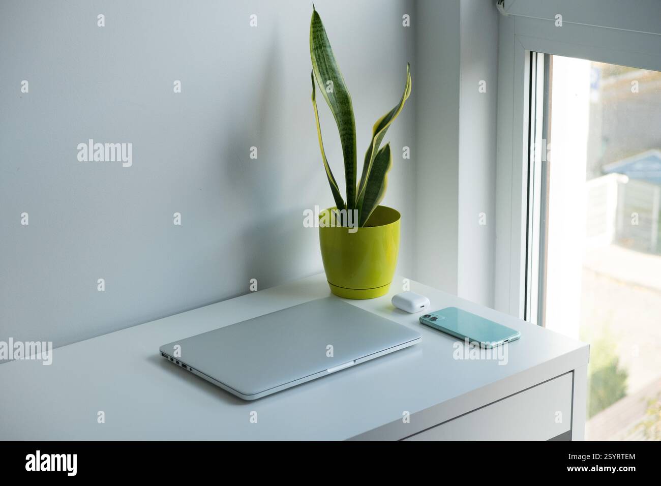 Silver laptop, white earbuds, green smartphone and green plant on a ...