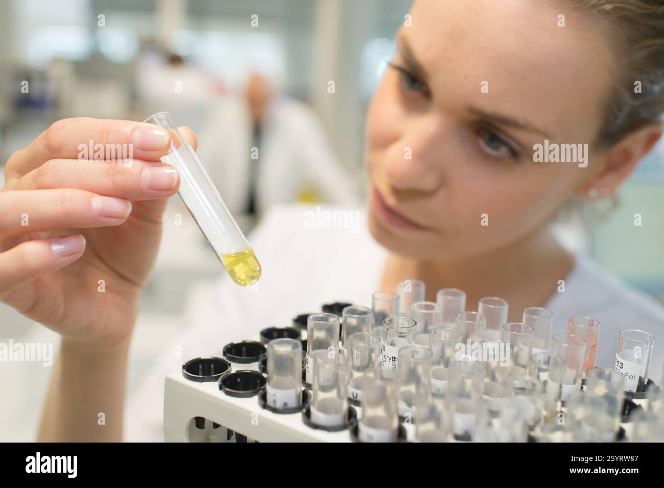 laboratory staff looking at a liquid in a tube Stock Photo - Alamy