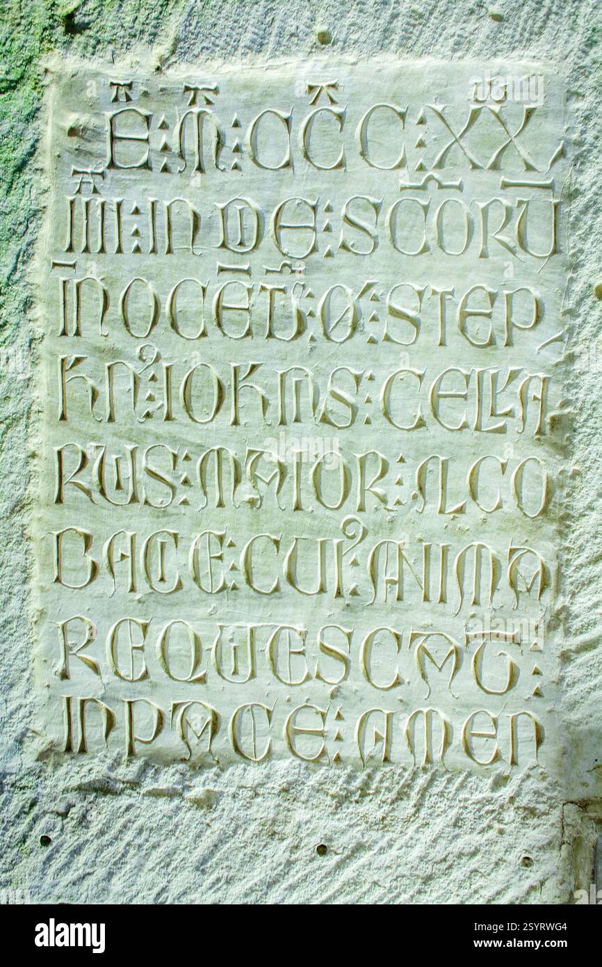 ancient stone inscription with intricate lettering, likely Latin ...