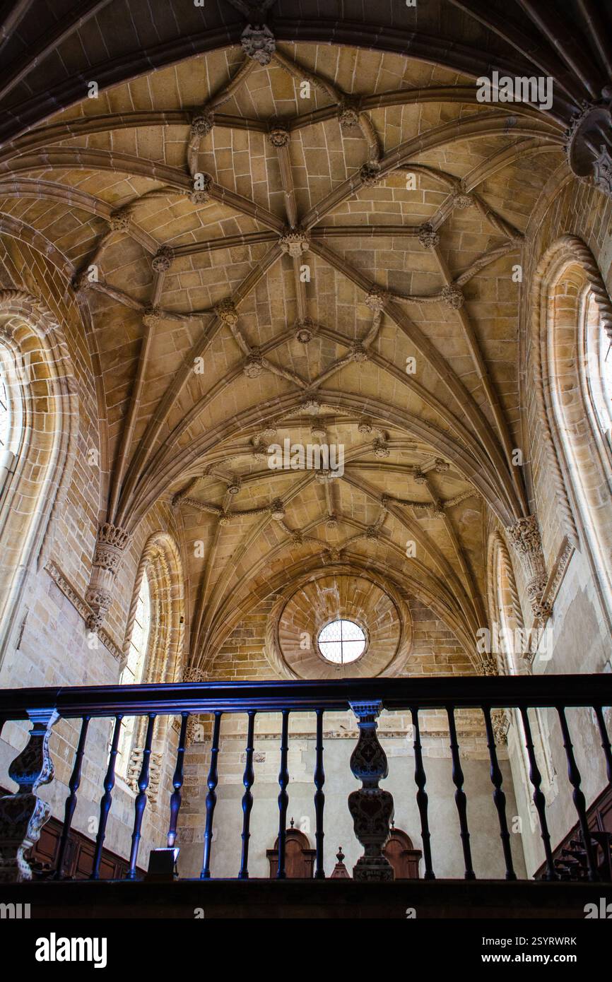 dramatic upward perspective of a vaulted ceiling with intricate ...