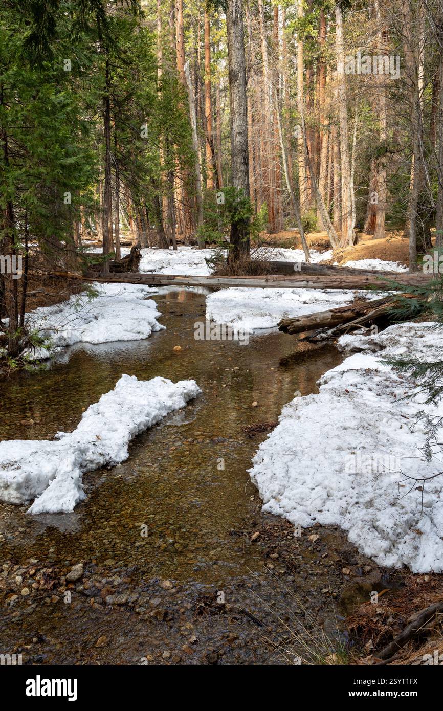 Snow in a creek flowing through the woods Stock Photo - Alamy