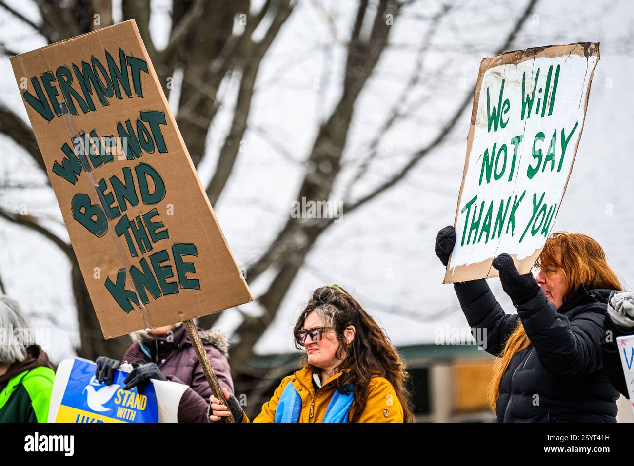 Waitsfield, Vermont, USA. 1 March 2025. Demonstrators line Route 100 in ...