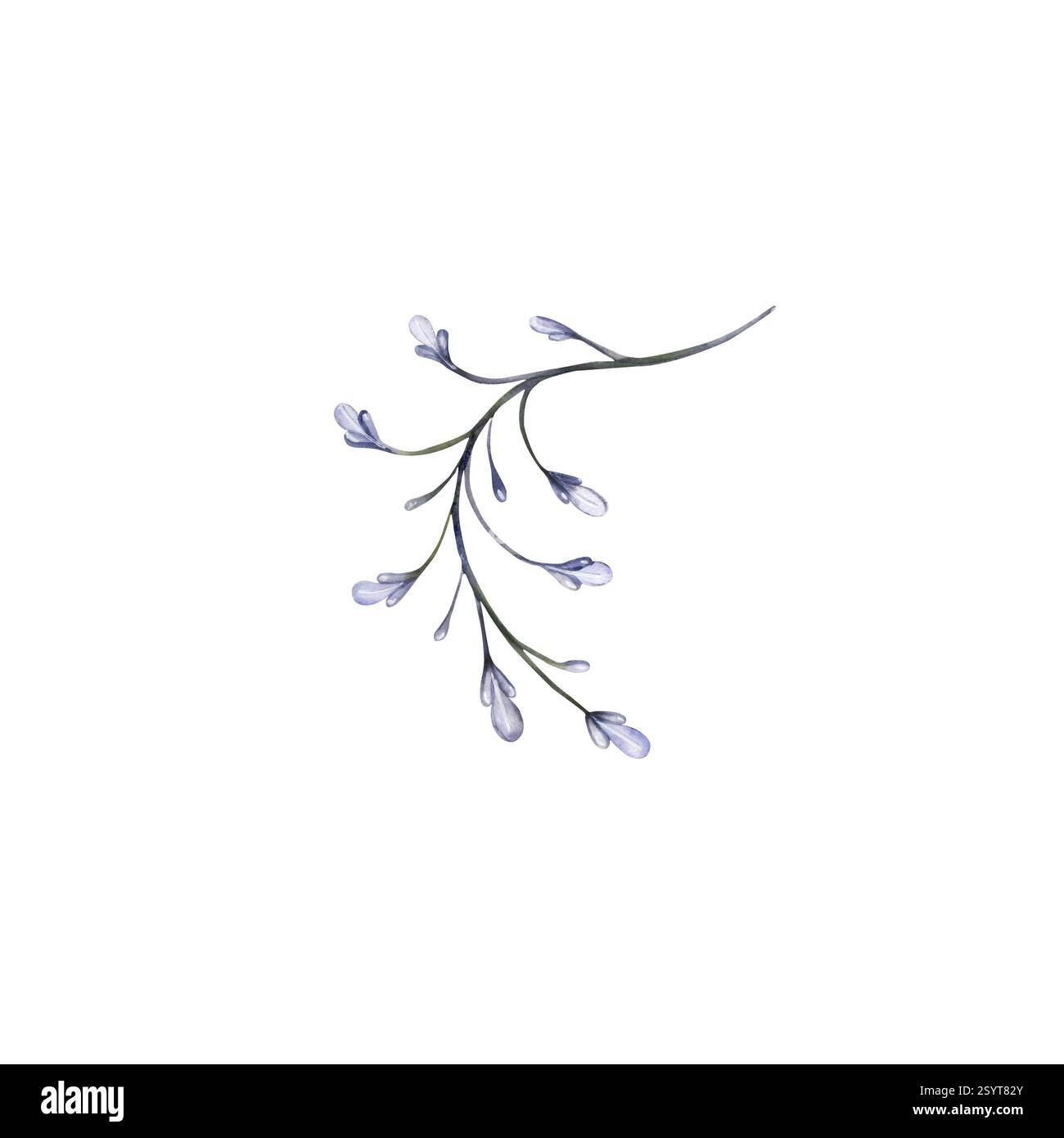 simple watercolor blue floral branch Stock Photo - Alamy