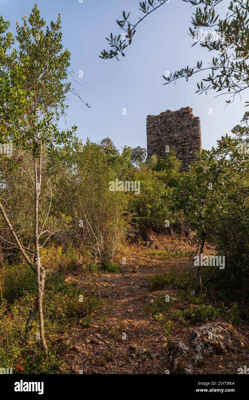 Ancient stone structure amidst dense hi-res stock photography and ...
