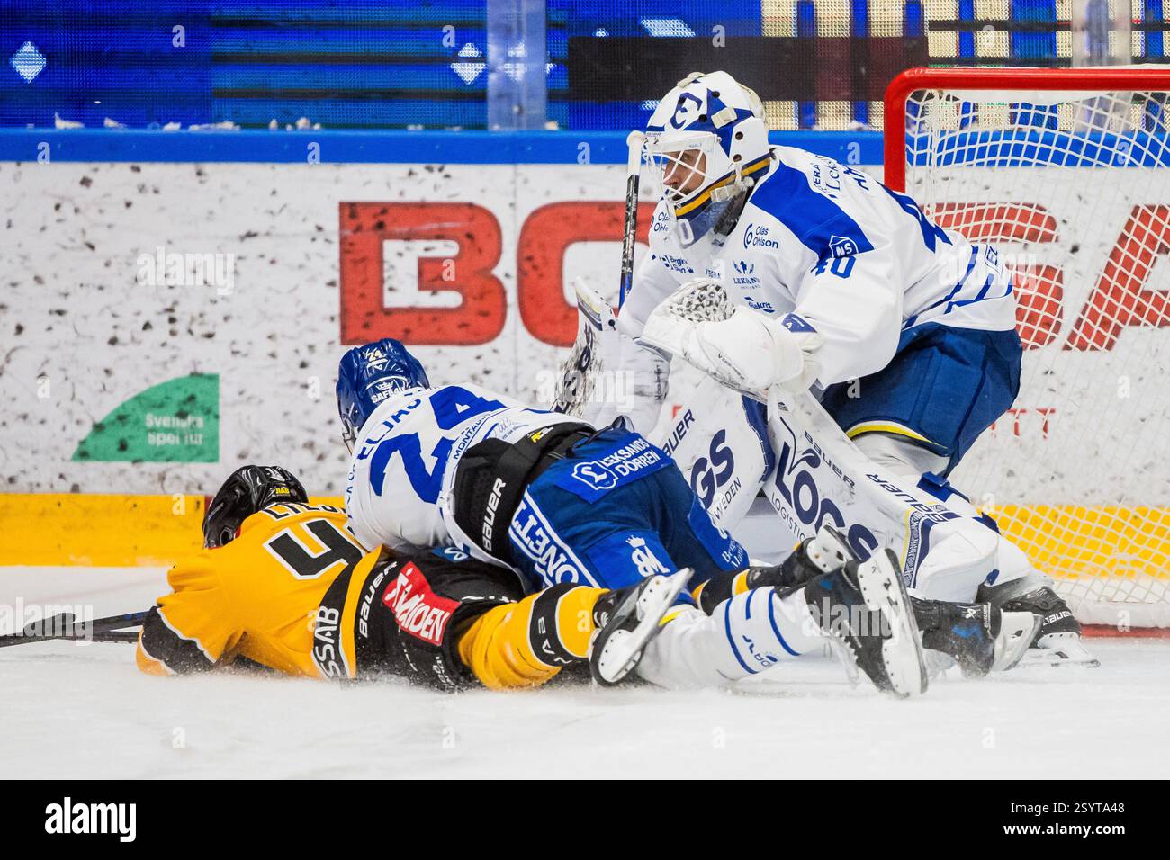Leksand, Sverige. 01st Mar, 2025. 250301 Leksands målvakt Mantas Armalis under ishockeymatchen i ...