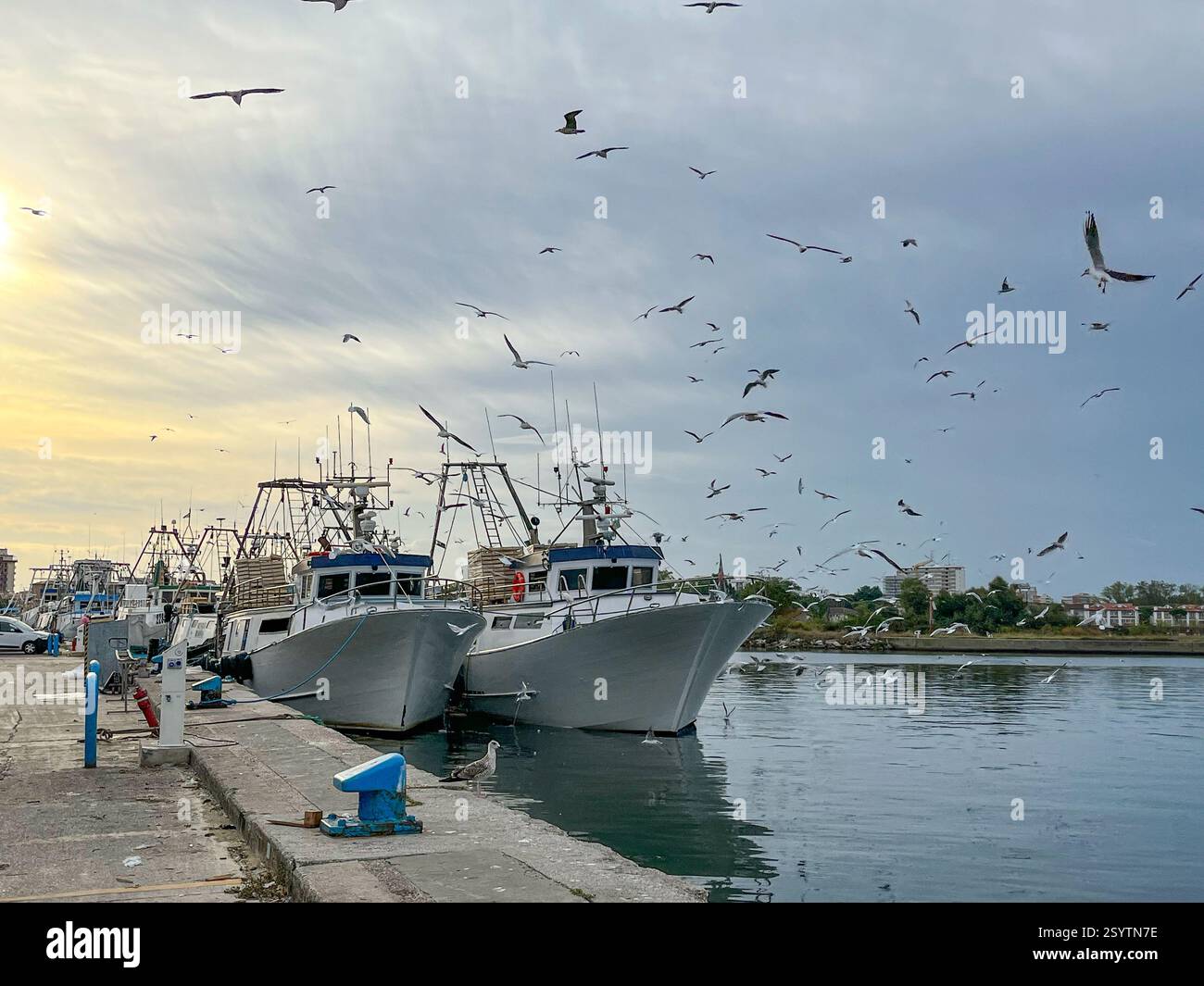Birds flying over boats hi-res stock photography and images - Alamy