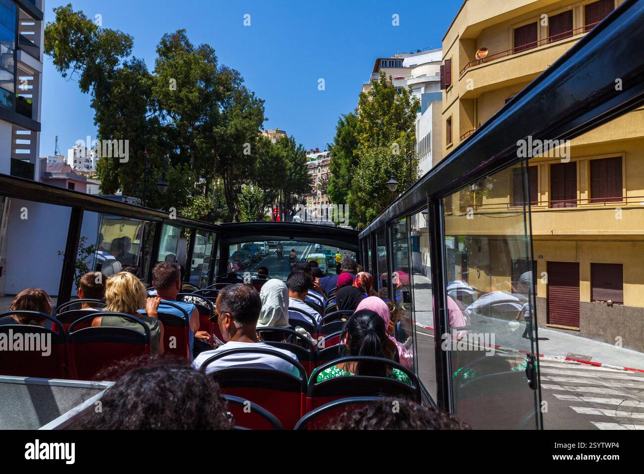 unique perspective from inside a sightseeing bus, offering a glimpse of ...